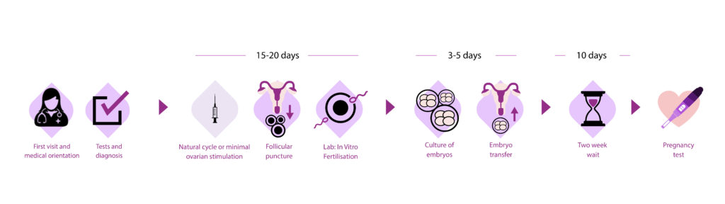 Mini IVF - IVF in Natural Cycle