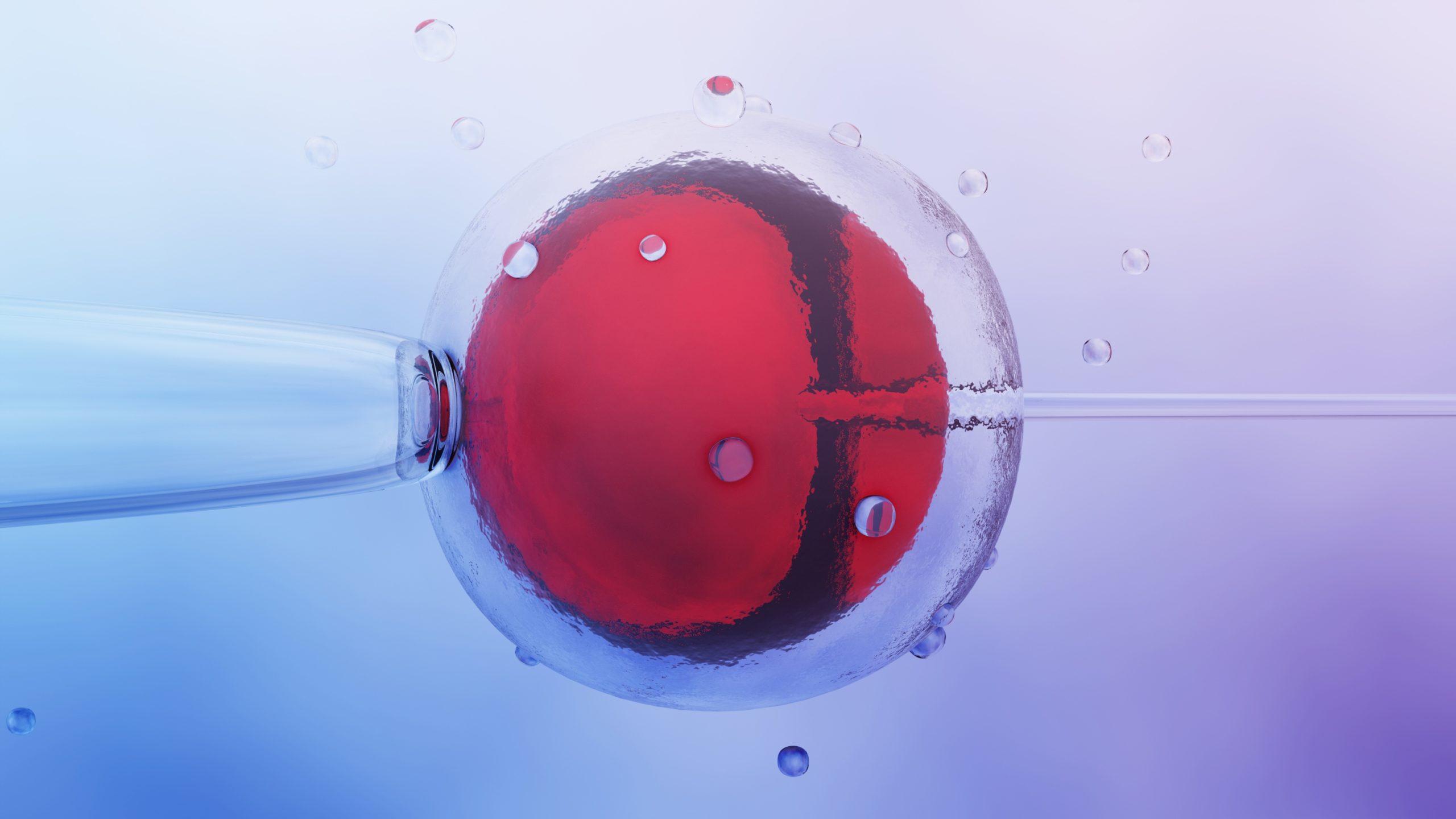 In vitro fertilization (IVF): what it is and how much it costs